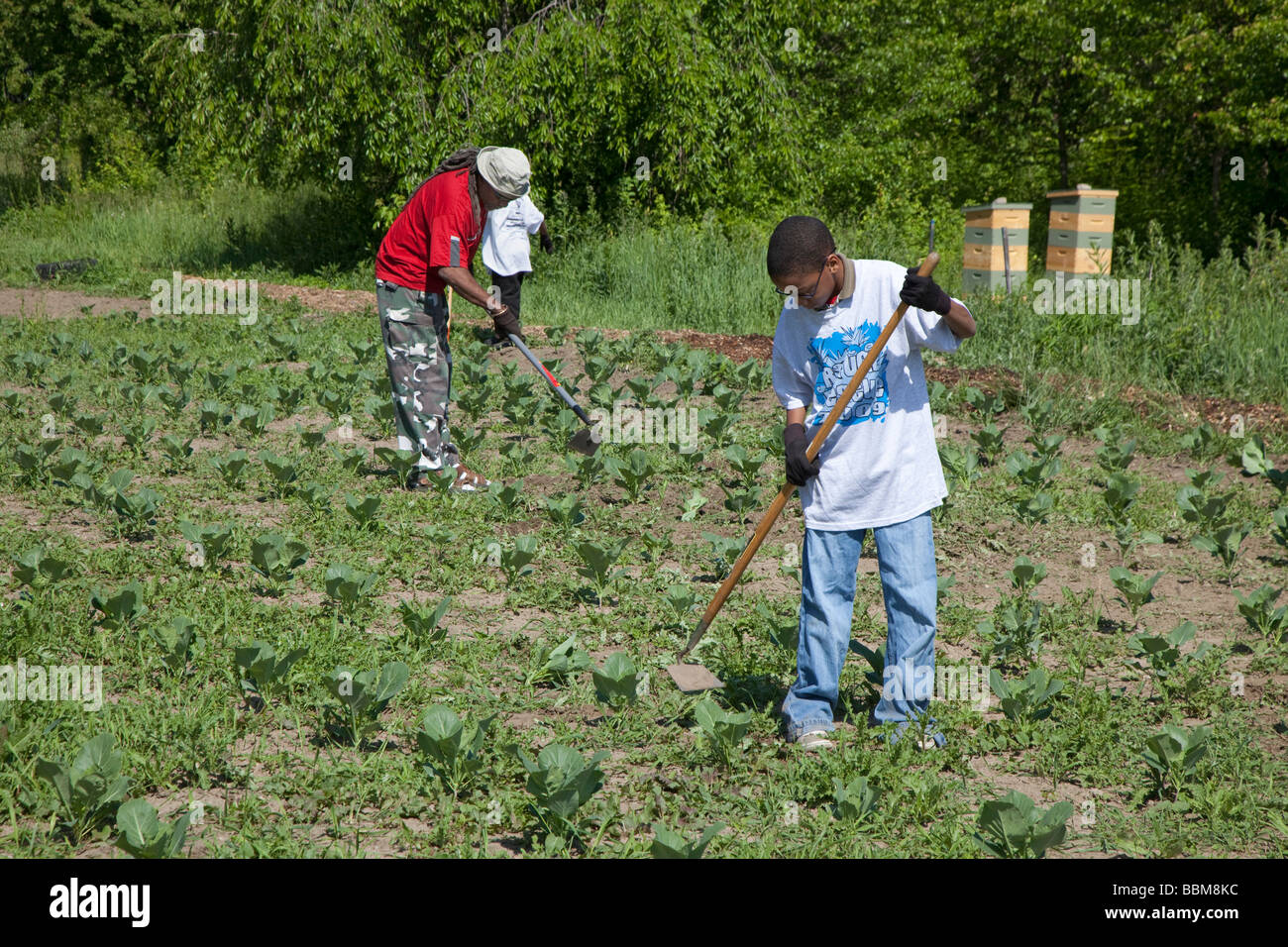 Teen boy volunteers hi-res stock photography and images - Alamy