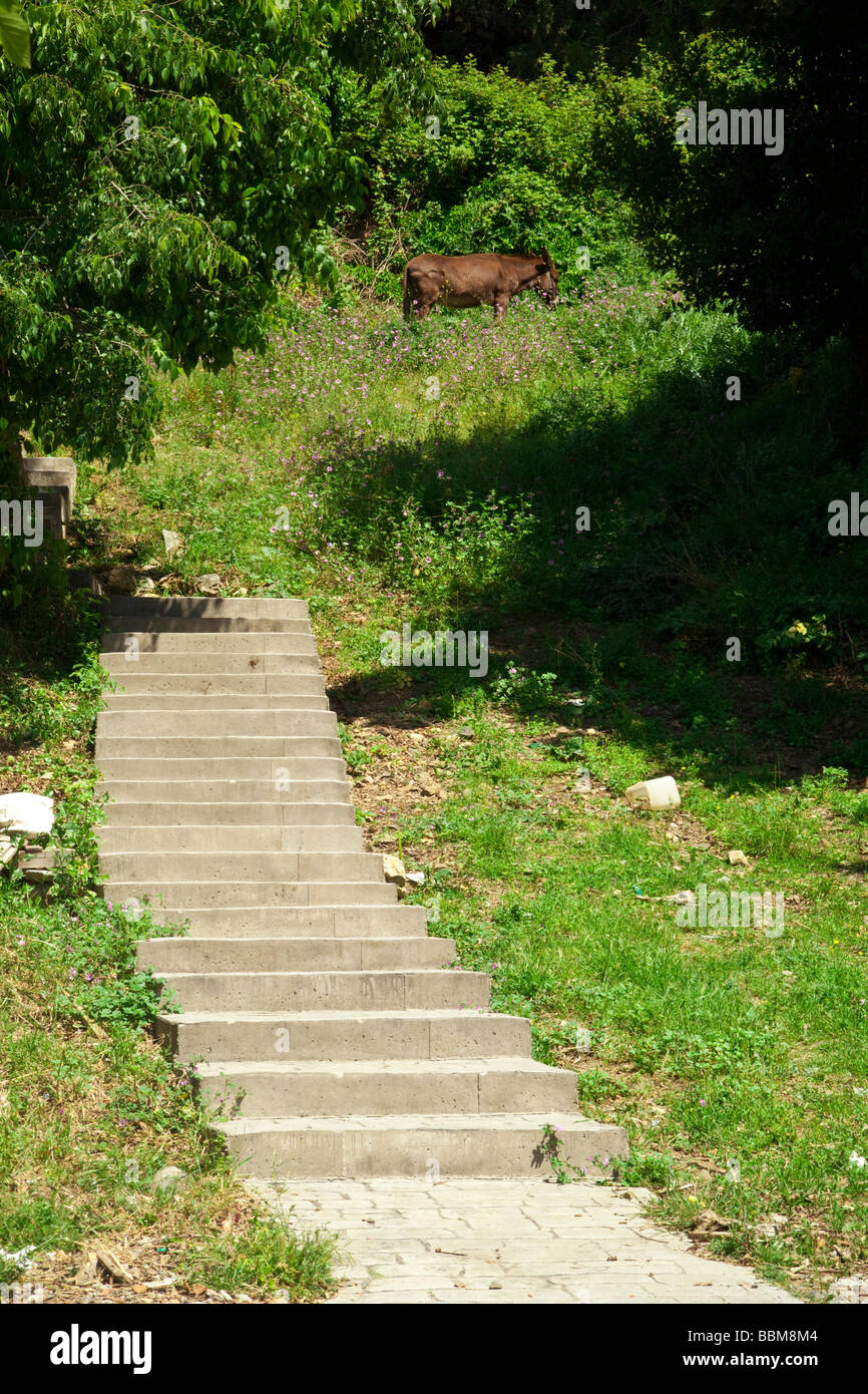 Stairs to stages hi-res stock photography and images - Alamy