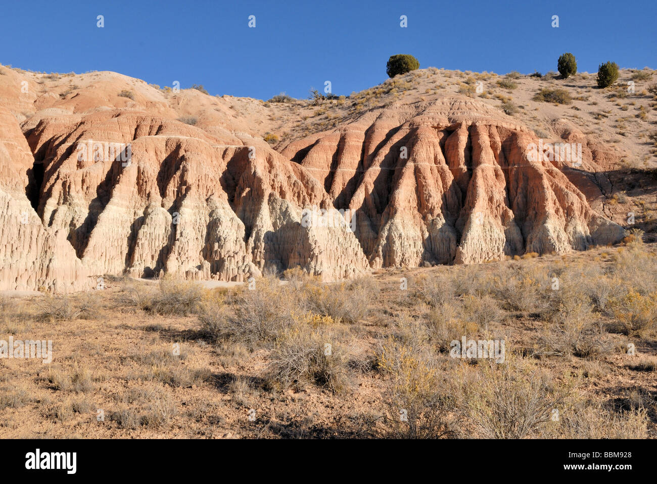 Rock formation, sandstone, detail, Cathedral Gorge State Park near ...