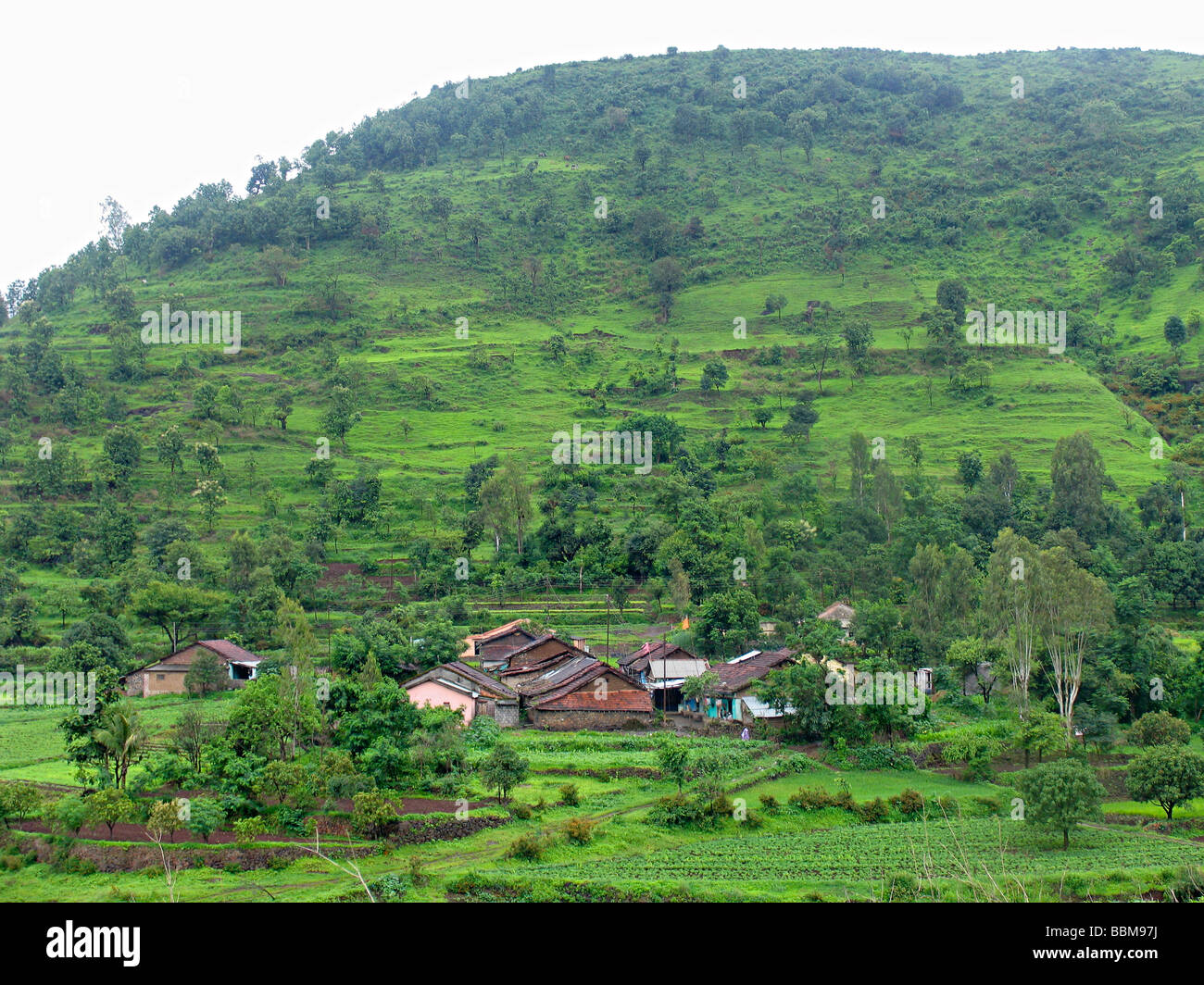 landscape, houses in the farm. village Stock Photo - Alamy