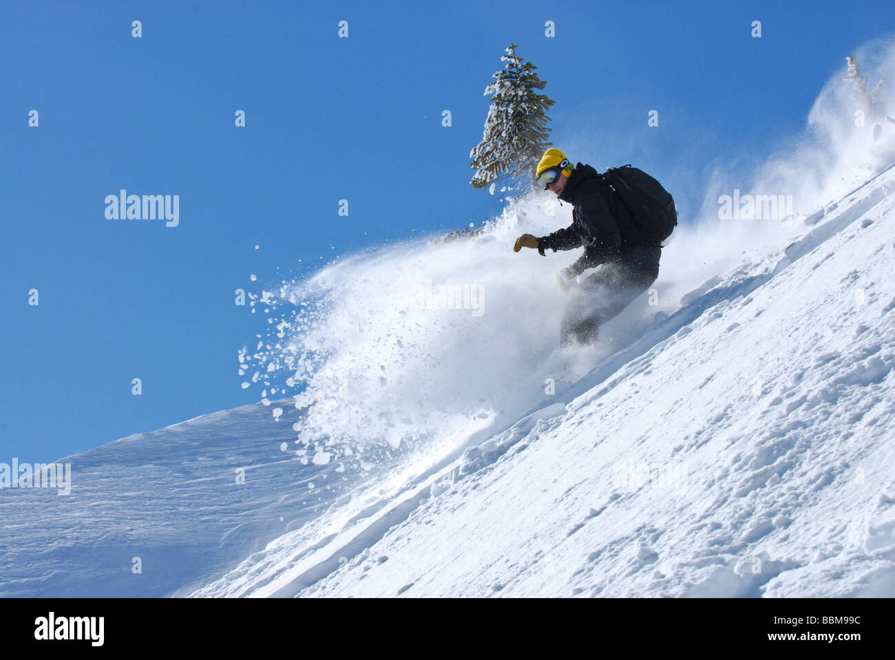 Powder sport hi-res stock photography and images - Alamy