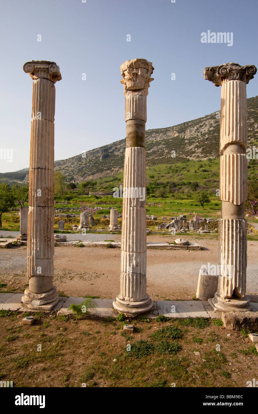 Ancient ionic columns lined up along a road leading into Ephesus in ...