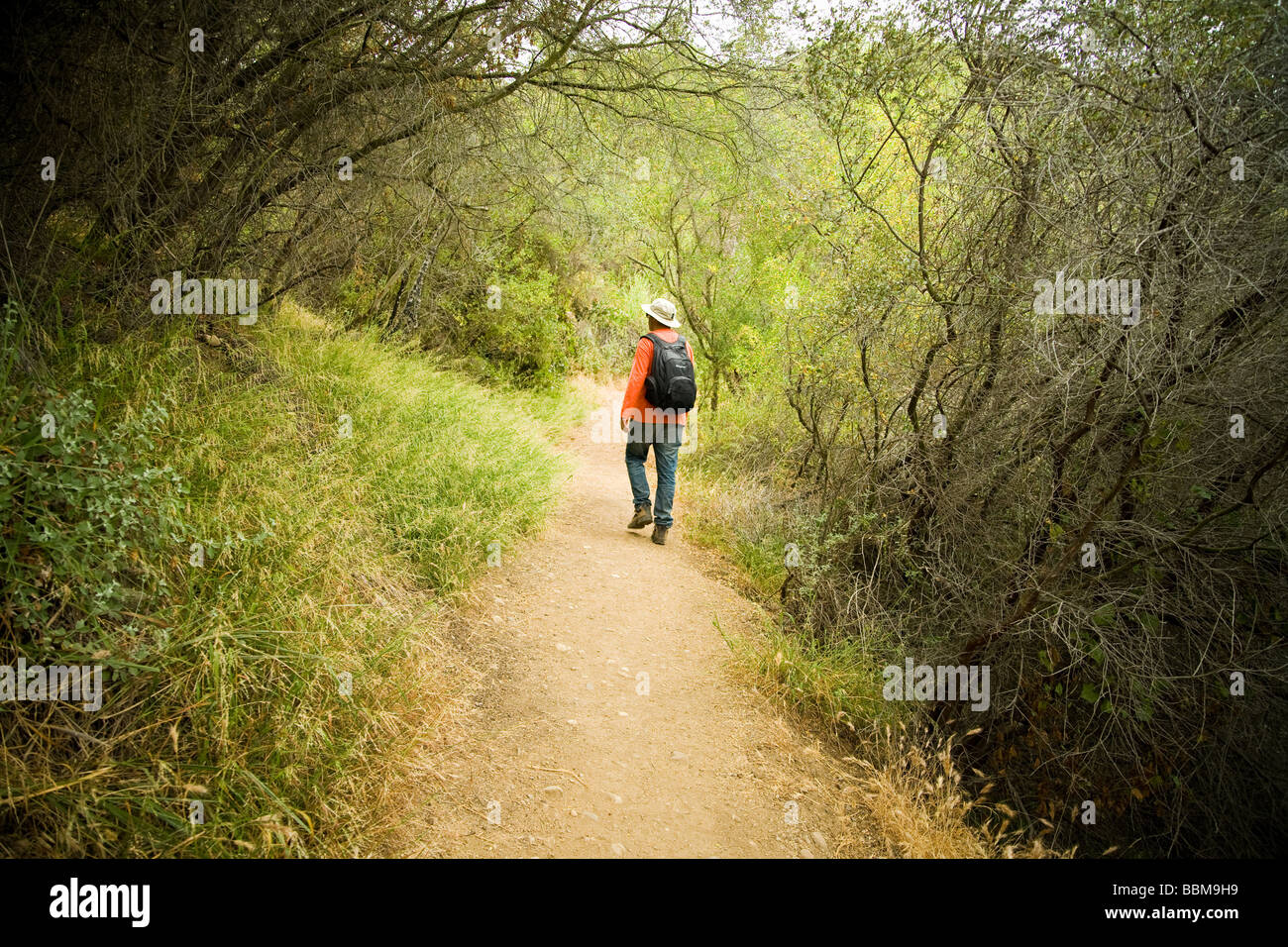 Hiker on the Backbone Trail in the Santa Monica Mountains Stock Photo ...