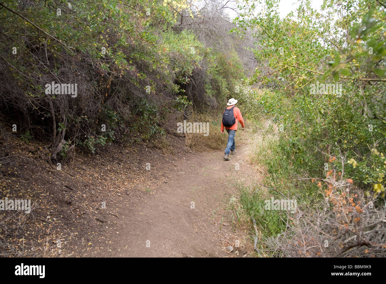 Hiker on the Backbone Trail in the Santa Monica Mountains Stock Photo ...