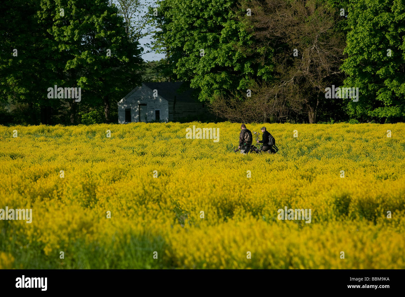 Turkey Hunters in Field Stock Photo - Alamy