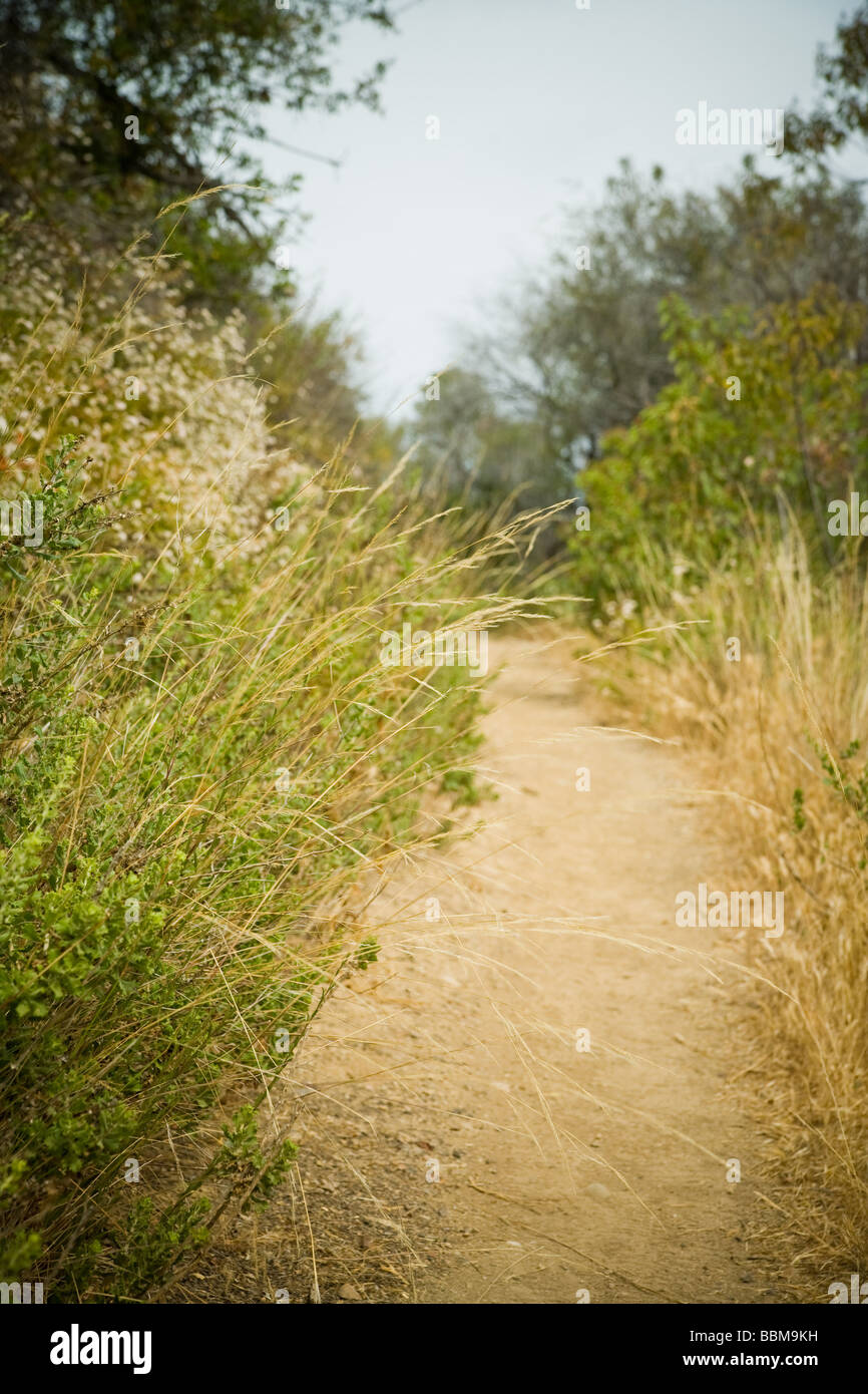Hiker on the Backbone Trail in the Santa Monica Mountains Stock Photo ...