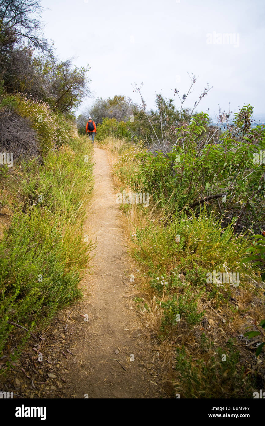 Hiker on the Backbone Trail in the Santa Monica Mountains Stock Photo ...