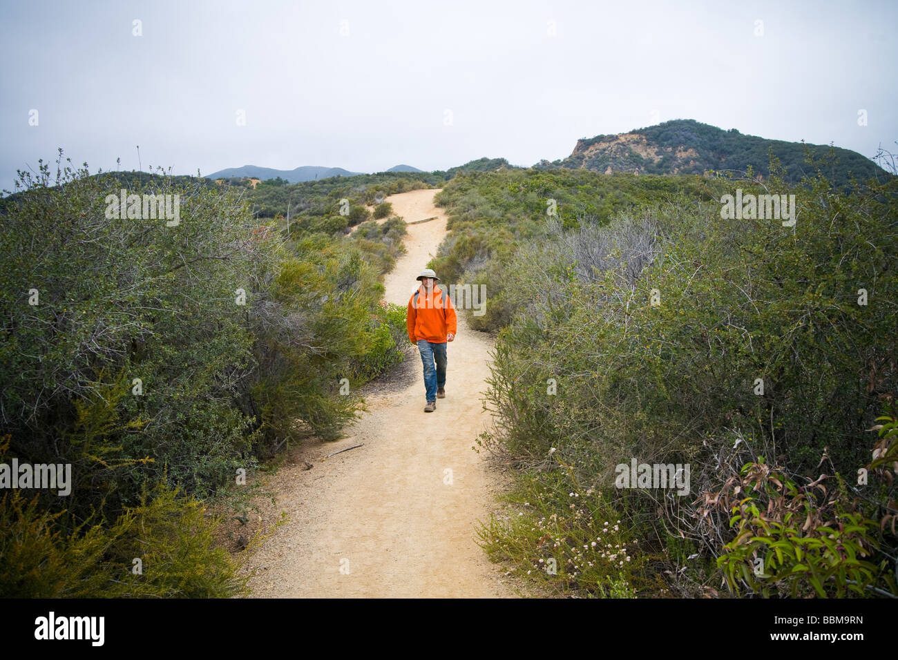 Hiker on the Backbone Trail in the Santa Monica Mountains Stock Photo ...