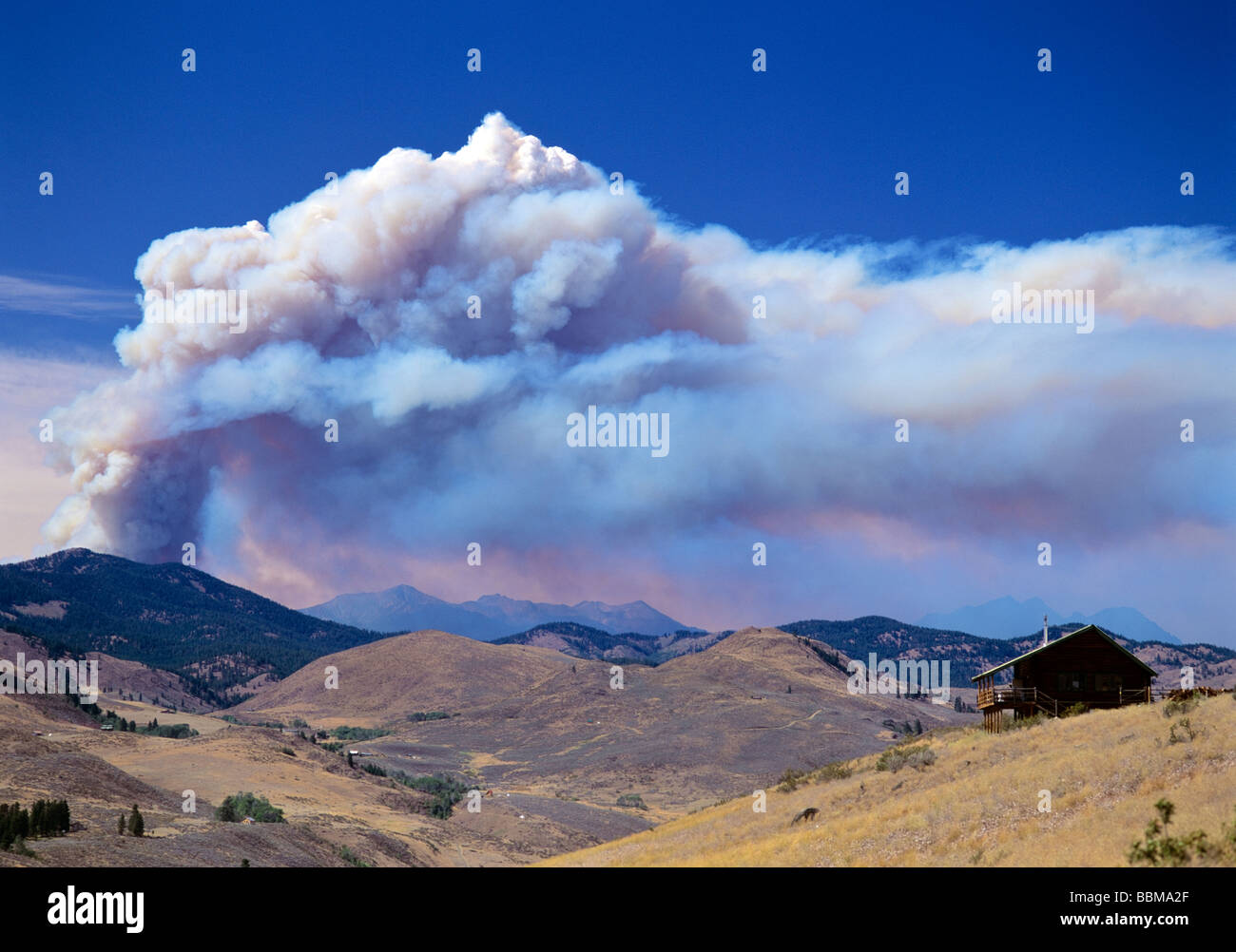 Forest fire Methow Valley Washington Stock Photo - Alamy