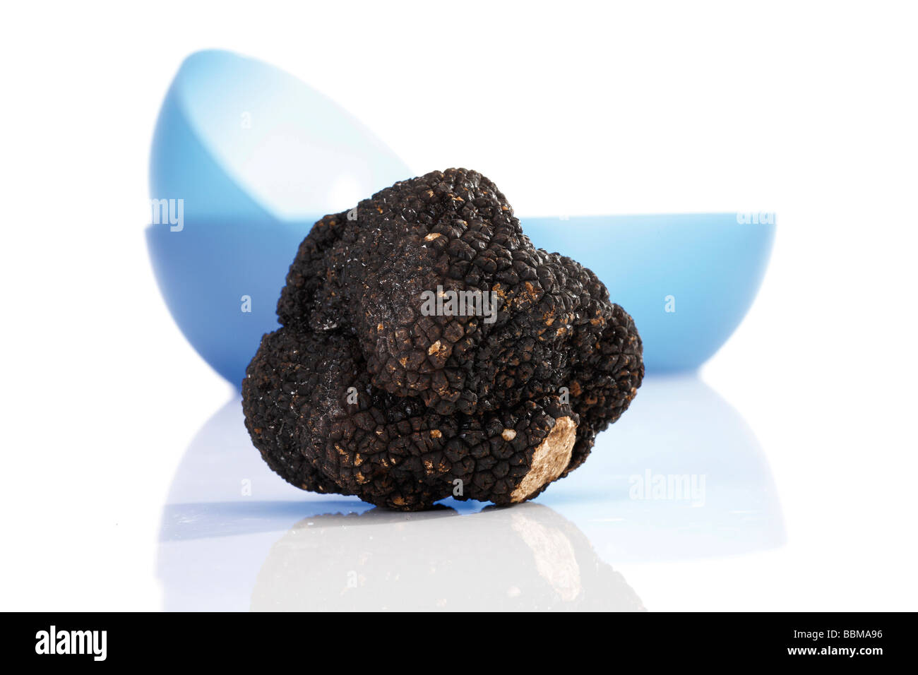 Black truffel hi-res stock photography and images - Alamy