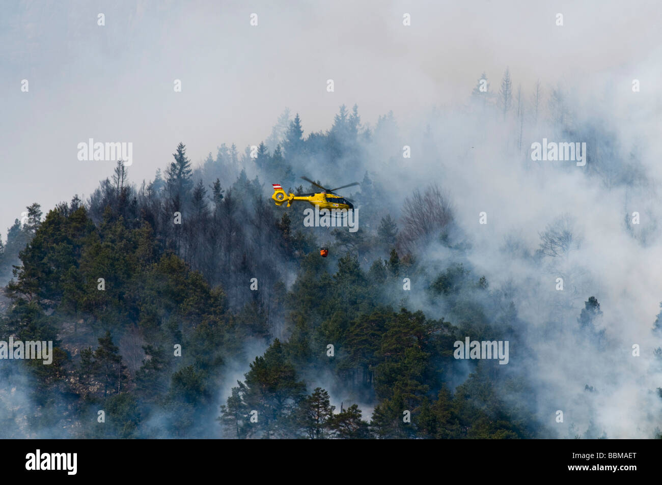 Forest fire fighting in Kranebitten near Innsbruck, Tyrol, Austria ...