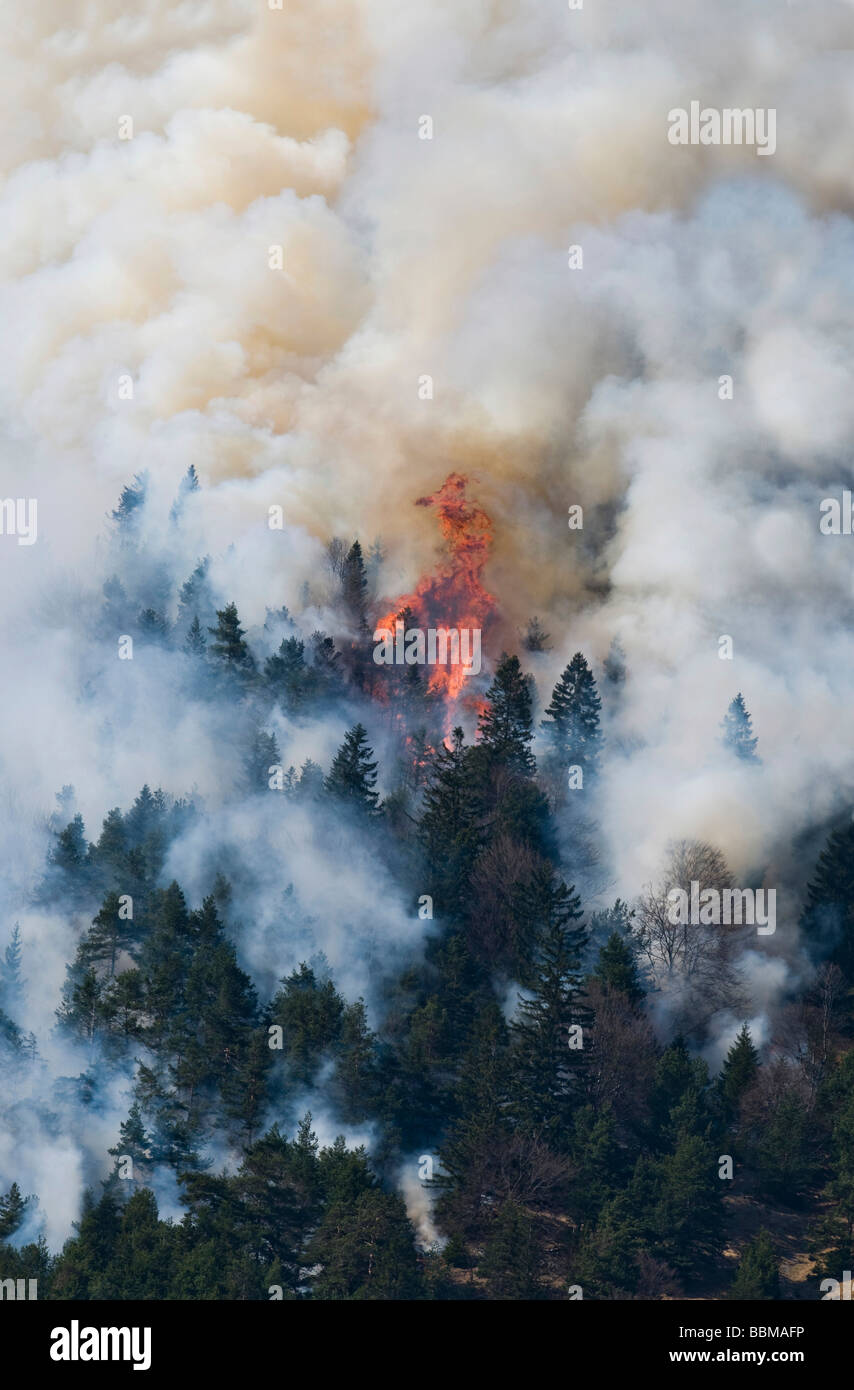 Forest fire in the Karwendel region near Innsbruck, Tyrol, Austria ...