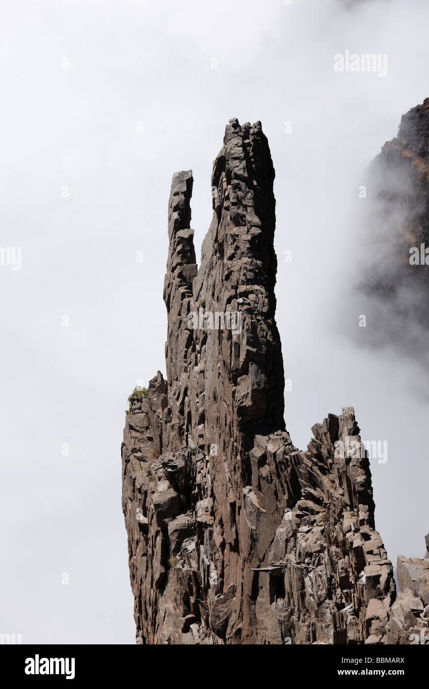 Pared de palma hi-res stock photography and images - Alamy