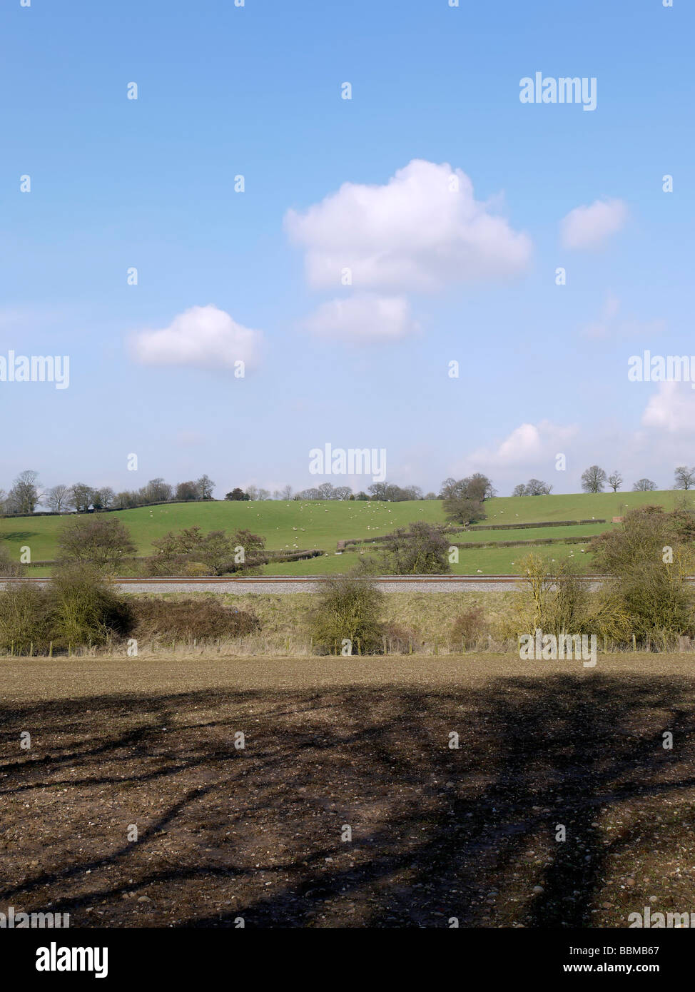 Farmland empty cornfield after harvesting hi-res stock photography and ...