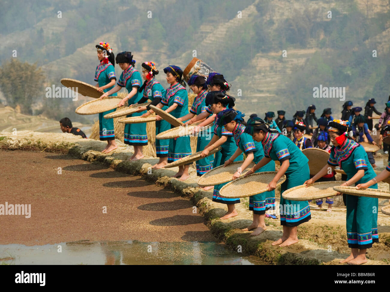 Hani Akha women sifting rice at a festival in Yuanyang China Stock ...