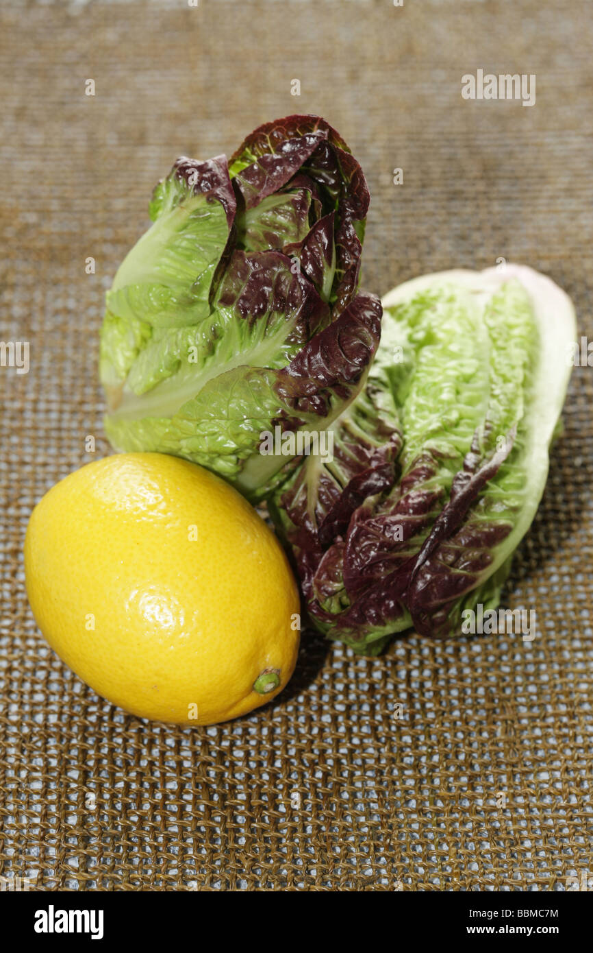 Whole gem lettuce hi-res stock photography and images - Alamy