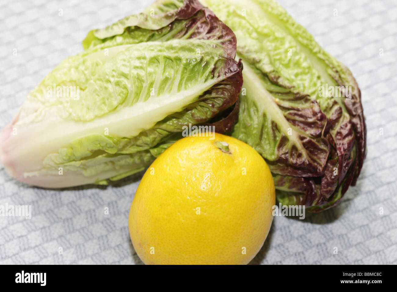 Gem Lettuce and Lemon Stock Photo - Alamy