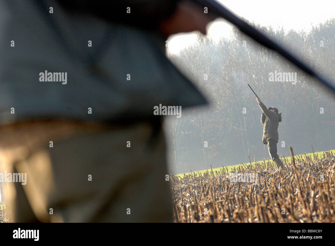 Belgium shooting shotgun hi-res stock photography and images - Alamy