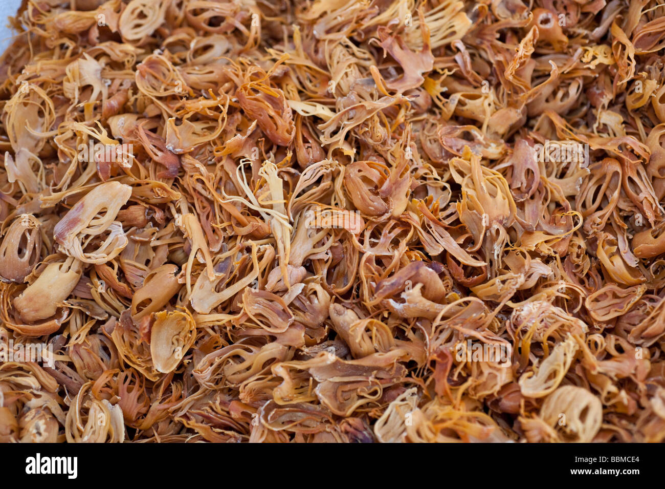 Close up of blades of dried mace, the aril (lacy covering) of nutmeg ...
