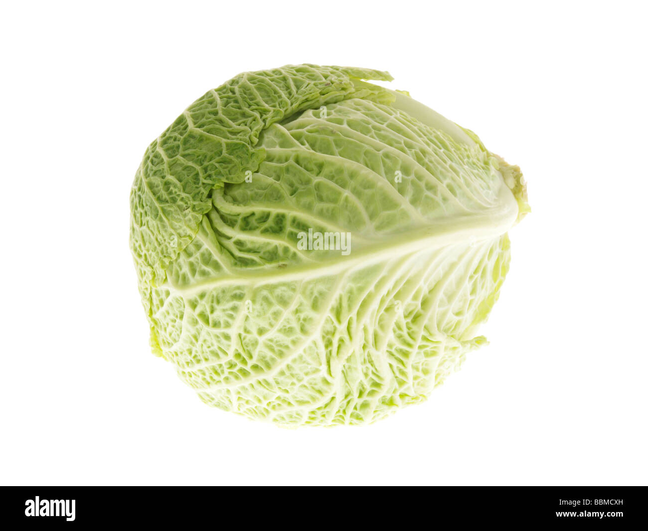 Cabbage Cut Out Stock Images & Pictures - Alamy