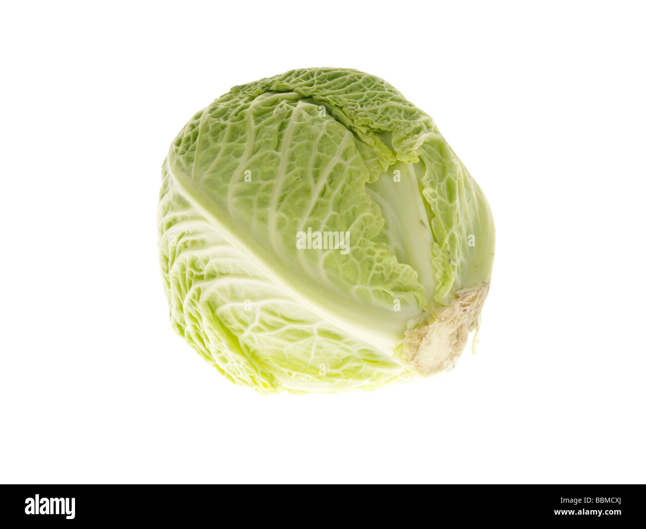 Cabbage Cut Out Stock Images & Pictures - Alamy