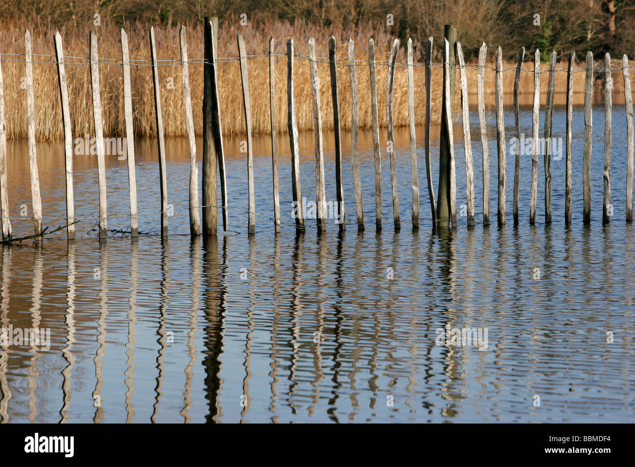 Water fencing hi-res stock photography and images - Alamy