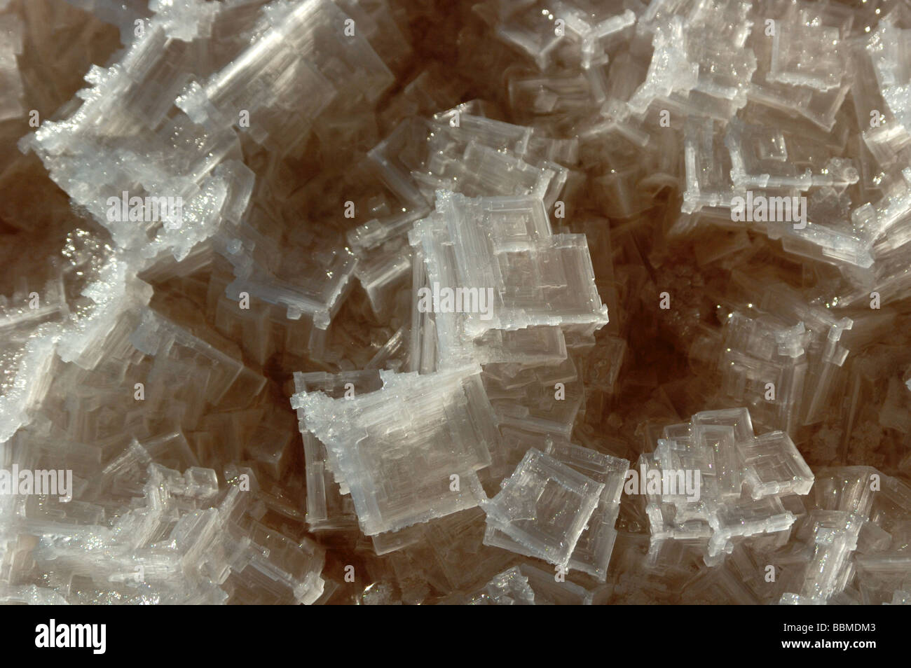 Crystalline salt from the evaporation of salt water Stock Photo - Alamy