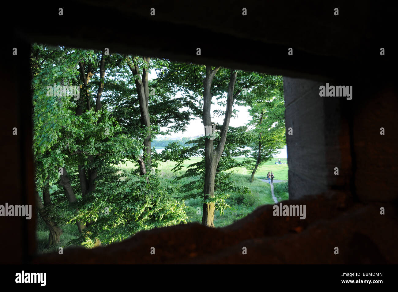 Trees seen through a window Stock Photo - Alamy