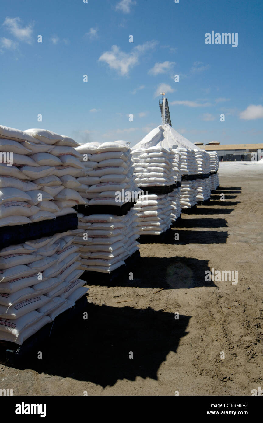 Bagged salt from sea water ready for transport Stock Photo - Alamy