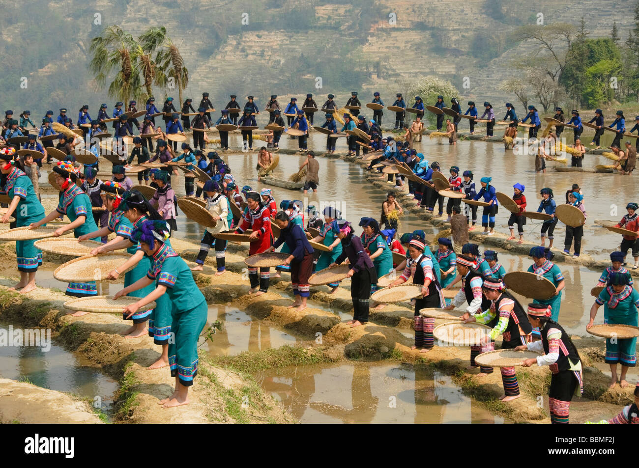Hani Akha women sifting rice at a festival in Yuanyang China Stock ...