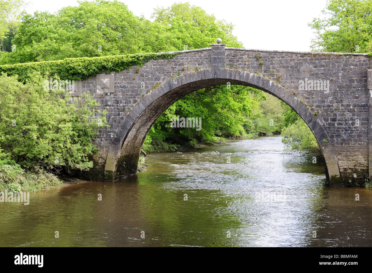 River cleddau hi-res stock photography and images - Alamy