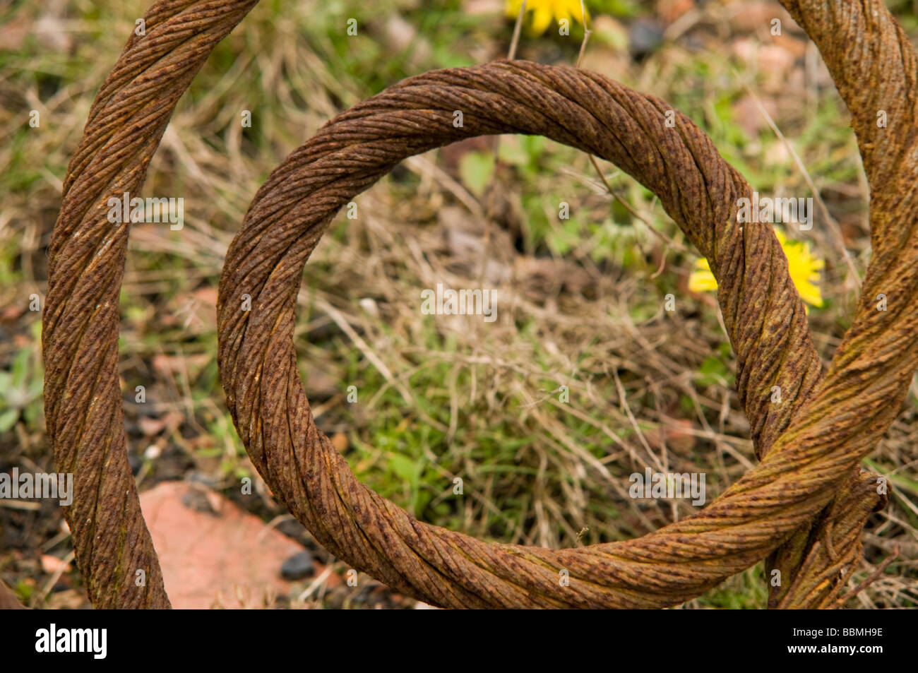 Coil of rusting steel cable Derbyshire England Stock Photo - Alamy