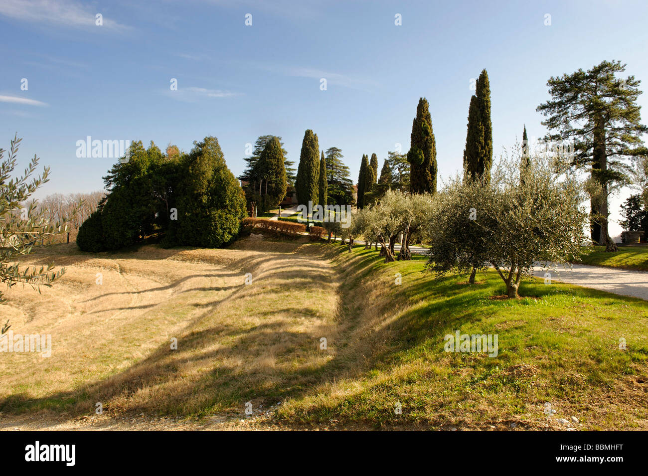 Cypresses near the castle La Rocca Bernarda, Friuli-Venezia Giulia ...