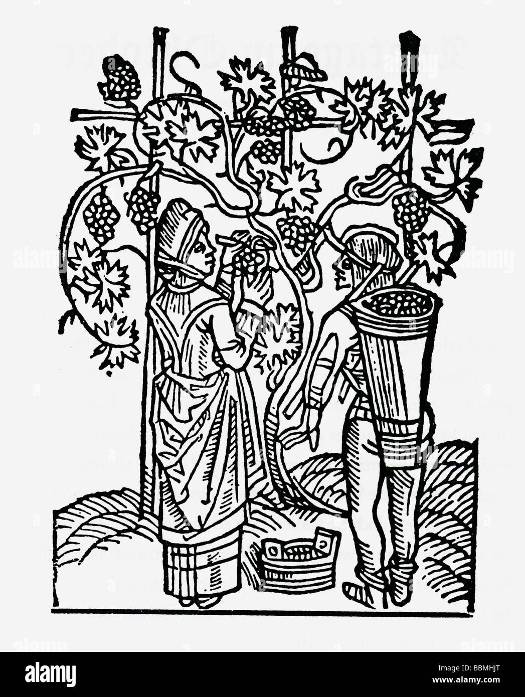 Medieval Woodcut Stock Photos & Medieval Woodcut Stock Images - Alamy