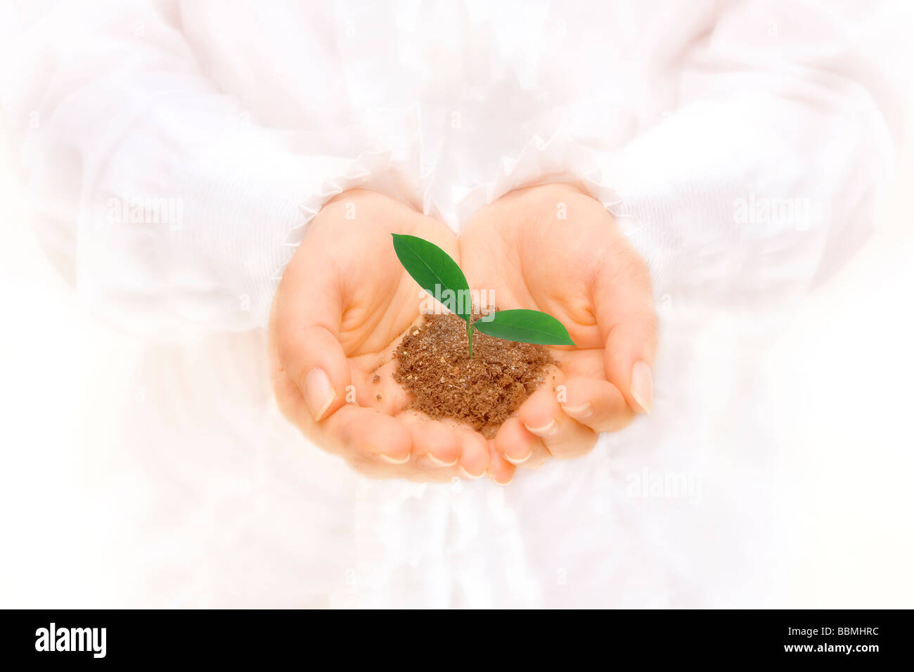Human hand holding seedling, mid section Stock Photo - Alamy