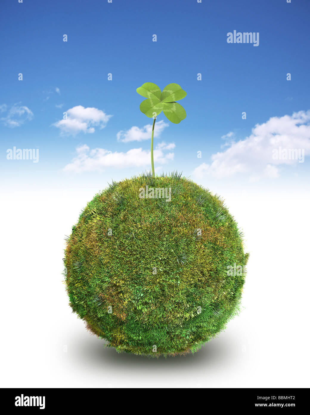 Four-leaf clover growing on grass ball Stock Photo - Alamy