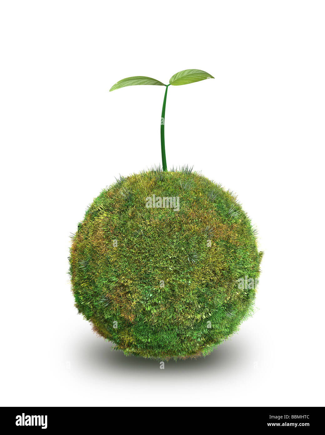 Ball topiary Cut Out Stock Images & Pictures - Alamy