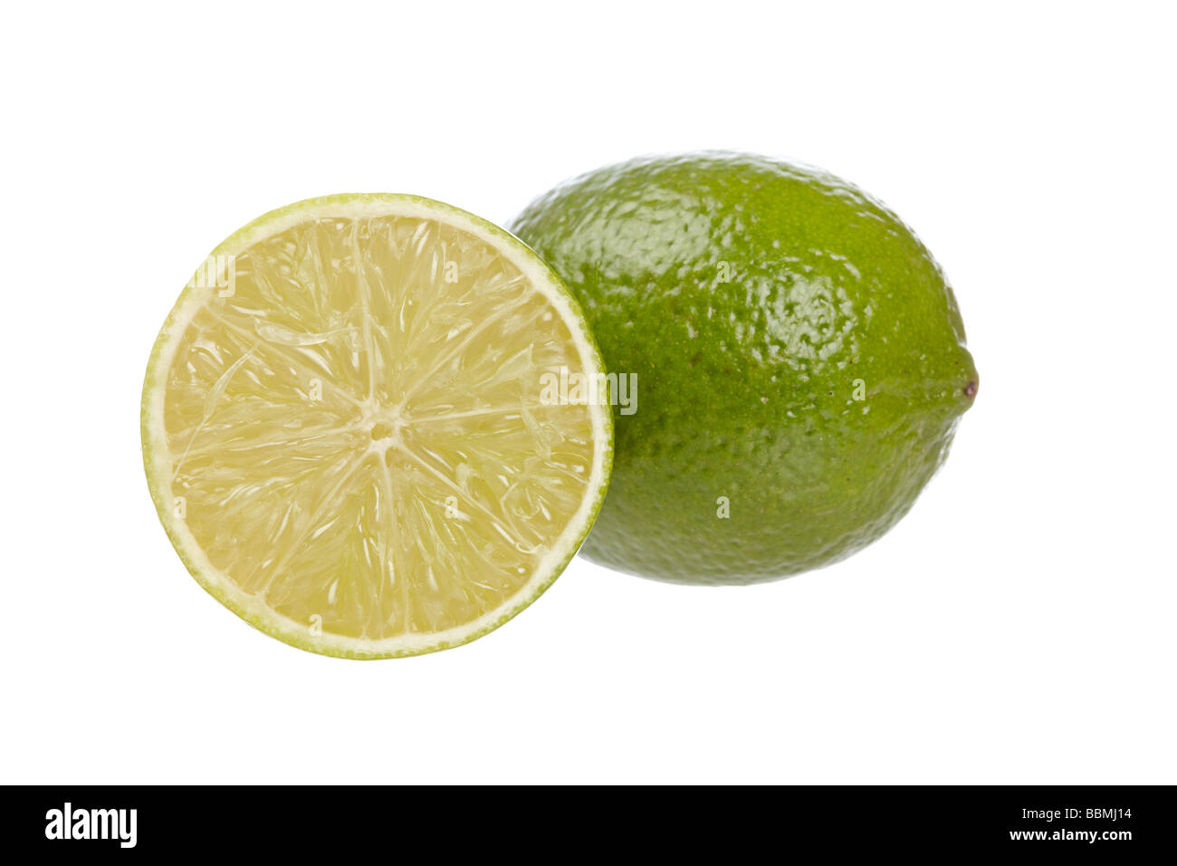 Succulent field Cut Out Stock Images & Pictures - Alamy