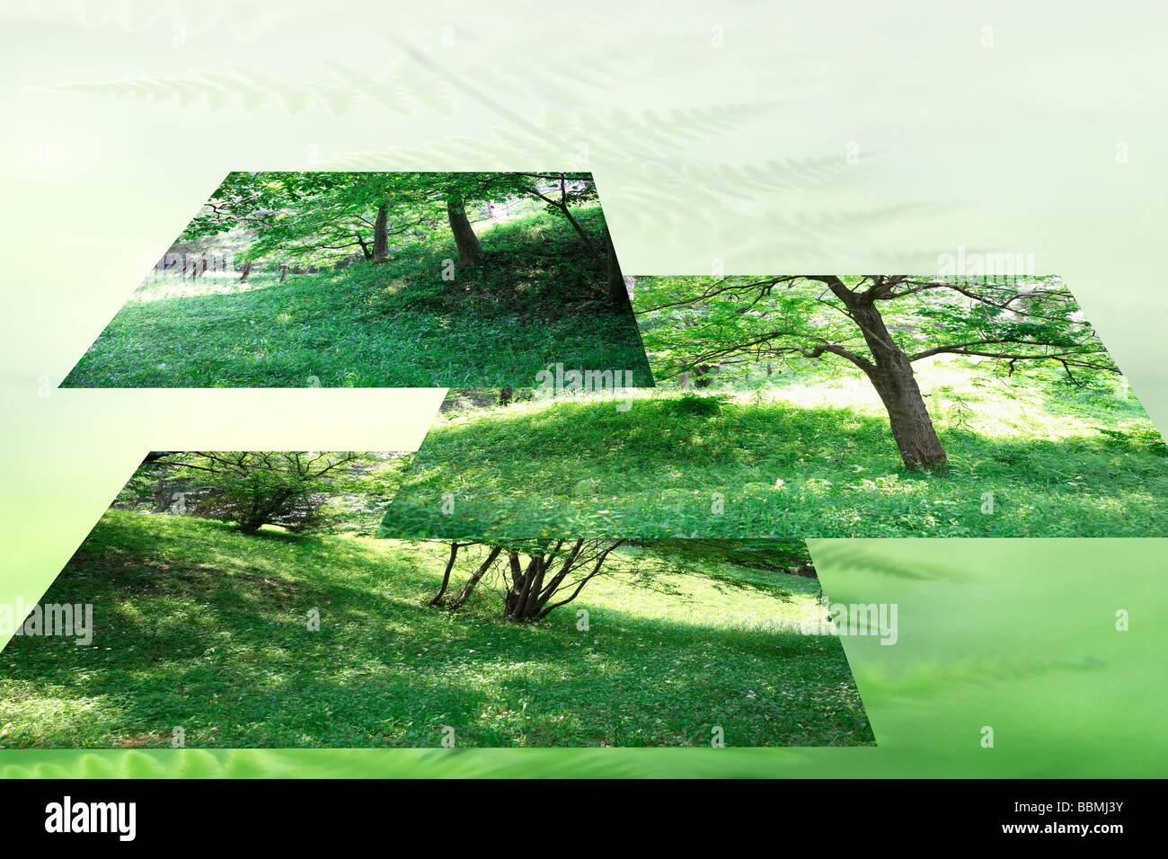 Multiple image of tree and grass Stock Photo - Alamy