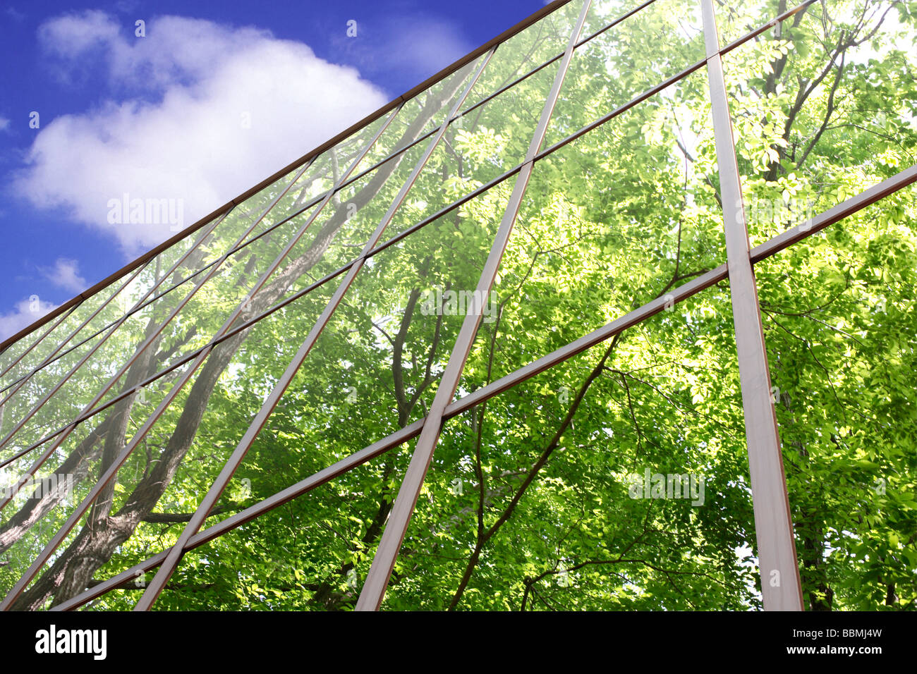 Tree reflecting on glass of office building, low angle view Stock Photo ...