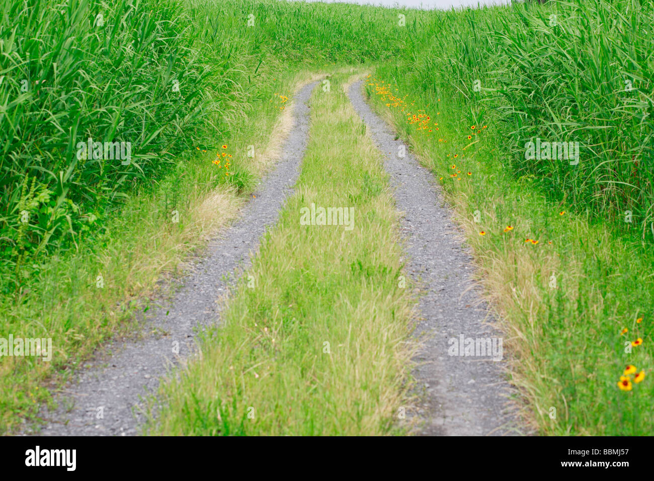 Field dirt road hi-res stock photography and images - Alamy