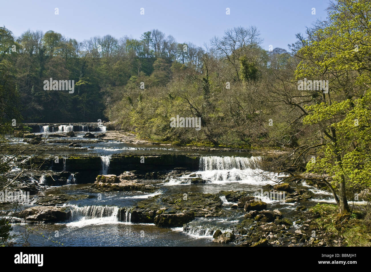dh Aysgarth Falls WENSLEYDALE NORTH YORKSHIRE River Ure waterfalls ...