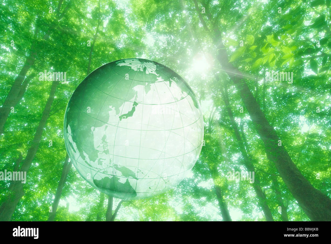 Globe with trees in background, low angle view (Digital Composite Stock ...