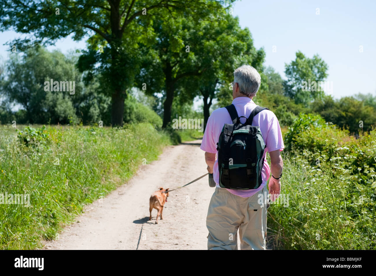 Elderly man is walking with his dog in nature Stock Photo - Alamy