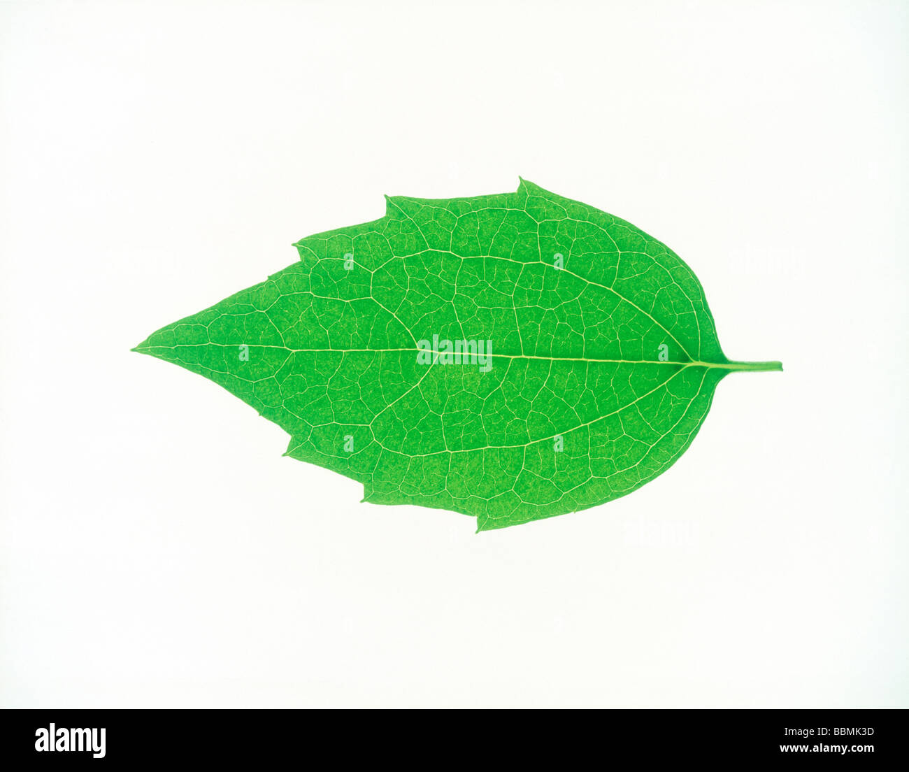 Tapering shape hi-res stock photography and images - Alamy