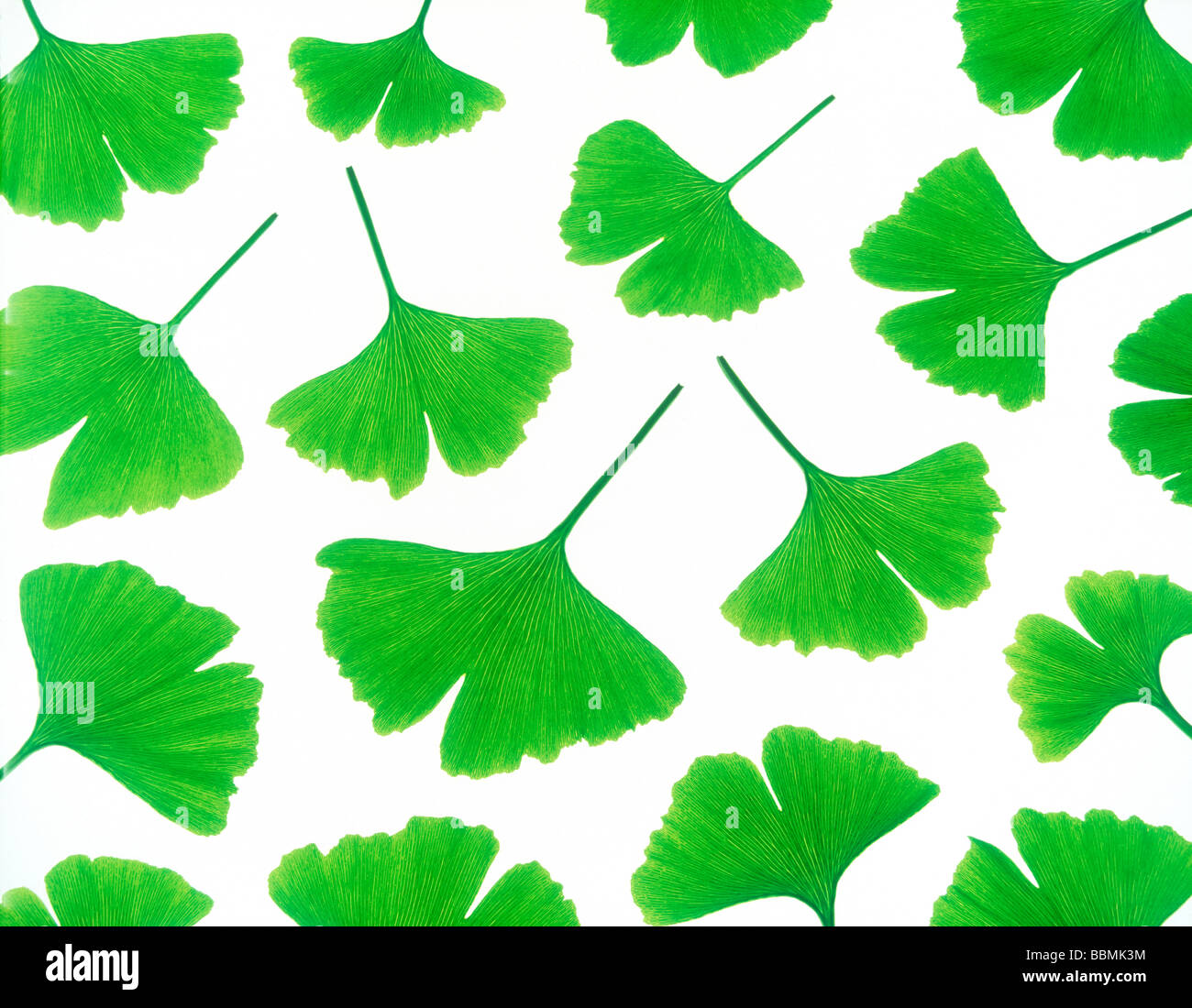 Scattered shapes hi-res stock photography and images - Alamy