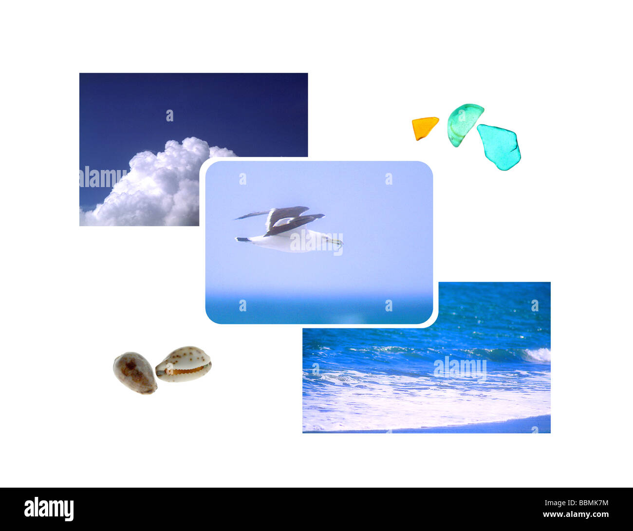 View of a bird flying Stock Photo - Alamy