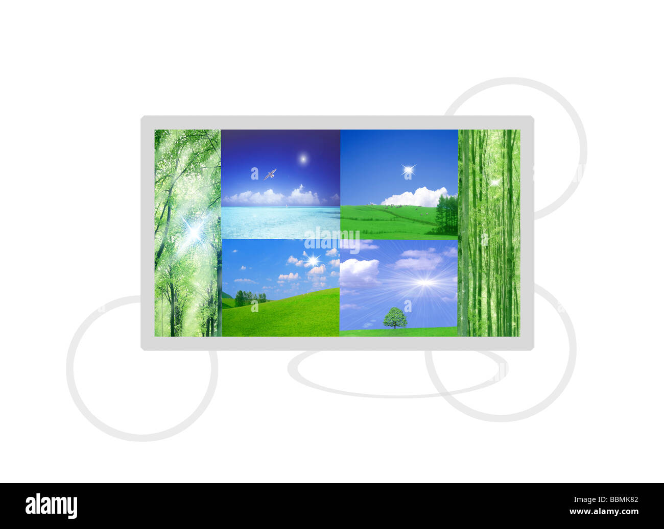 Collage of nature Stock Photo - Alamy