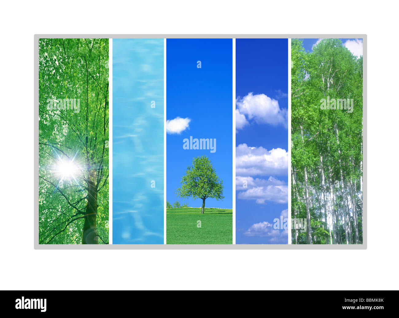 Trees view Cut Out Stock Images & Pictures - Alamy