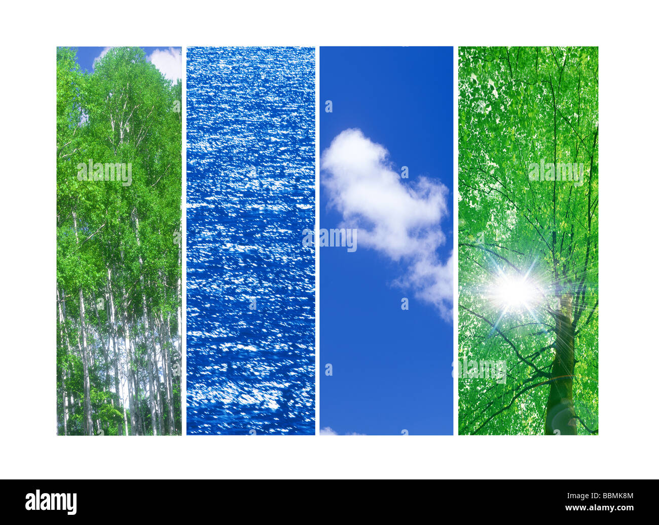 Collage of tree and water Stock Photo - Alamy